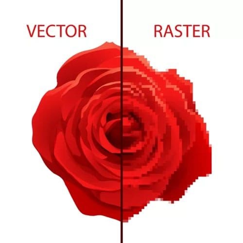 Raster vs. Vector Images: What’s the Difference? | Curry Printing